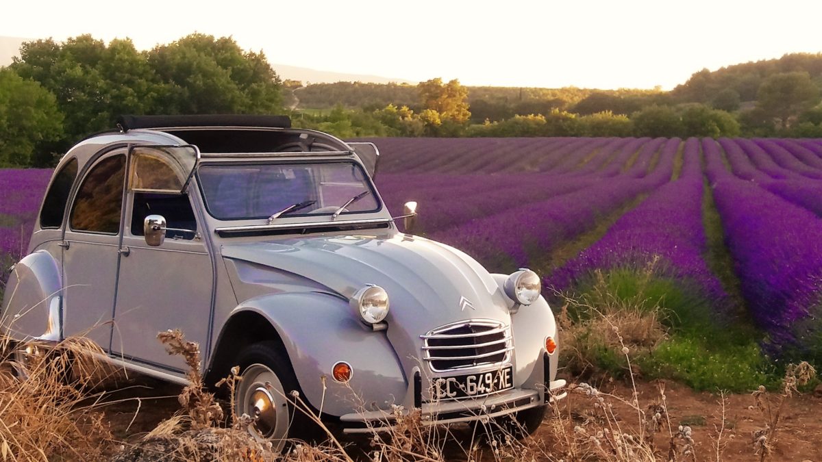 citroën_2CV_lavande - Sortie de Grange