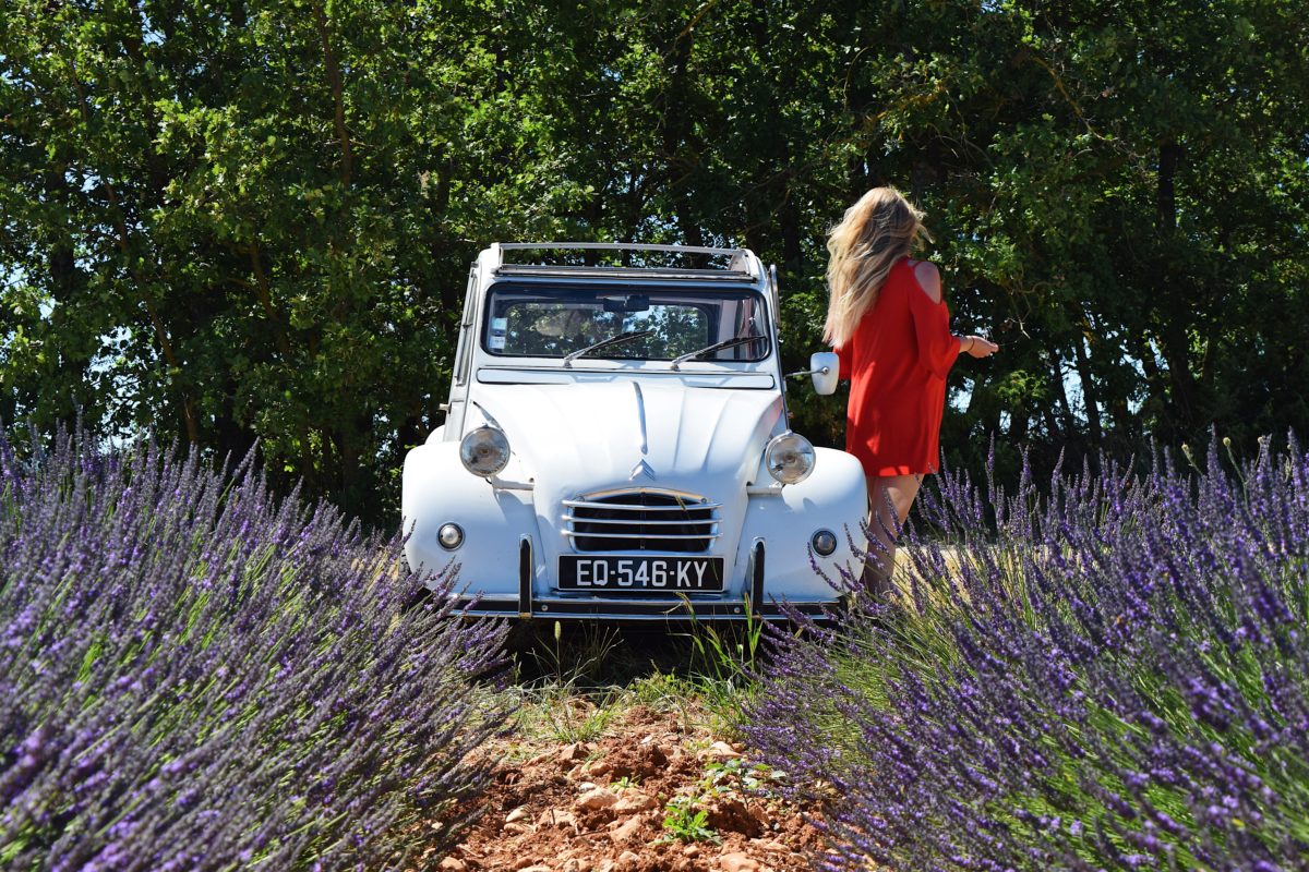 DSC_2136 - Sortie de Grange